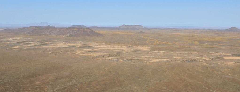 The Succulent Karoo Biome – TANKWA