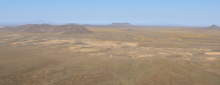 The Succulent Karoo Biome – TANKWA